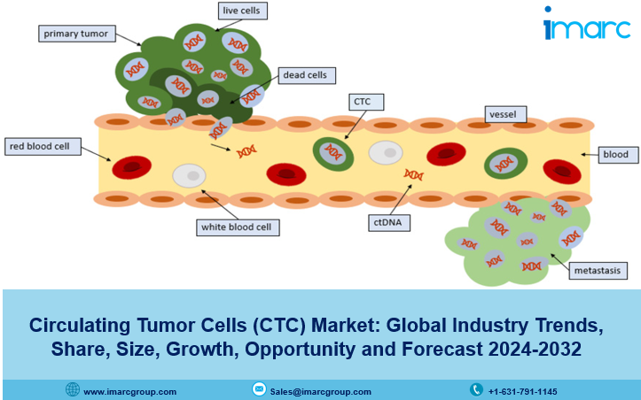 Circulating Tumor Cells (CTC) Market Growth, Overview, Analysis 2024 ...